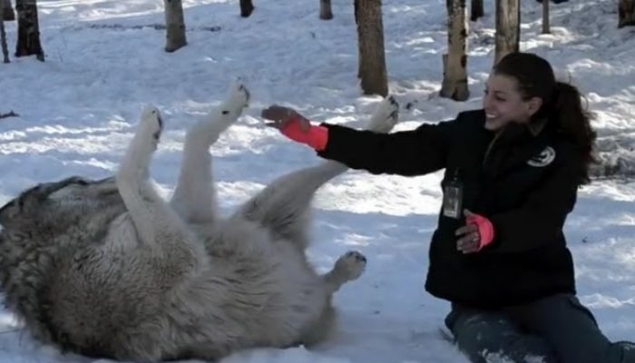 On social media, a video showcasing the friendship between a woman and ...